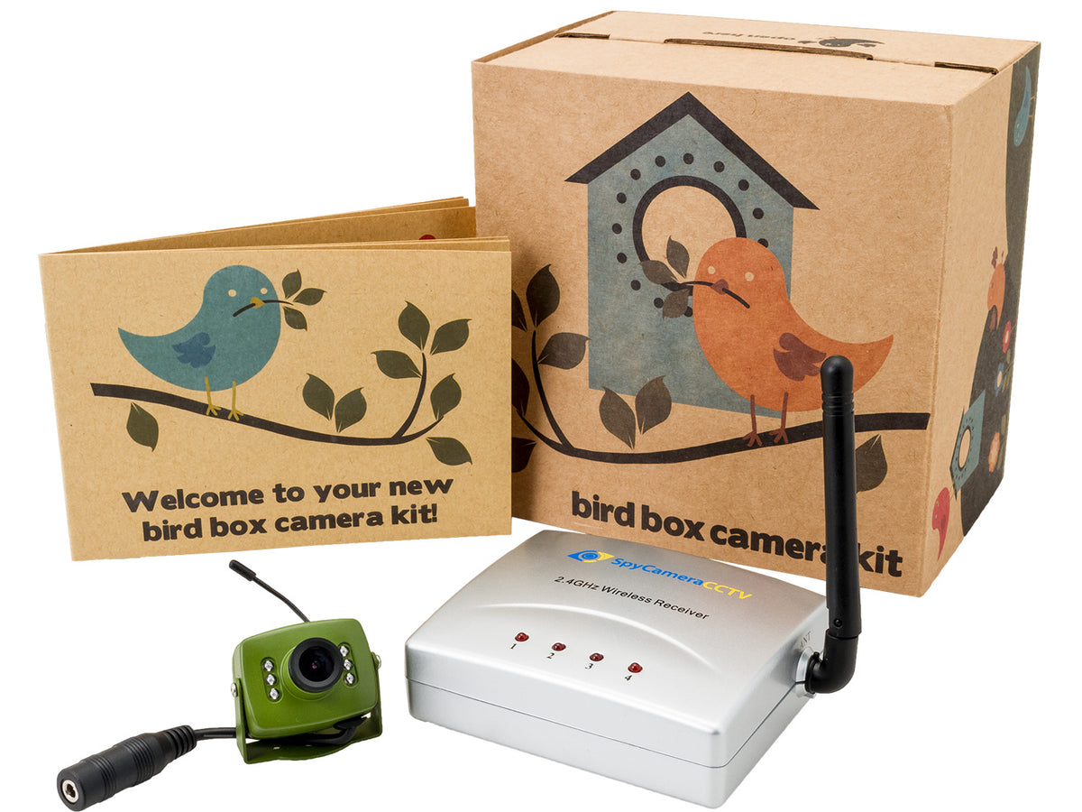 Introducing Green Feathers Bird Box Cameras — SpyCameraCCTV