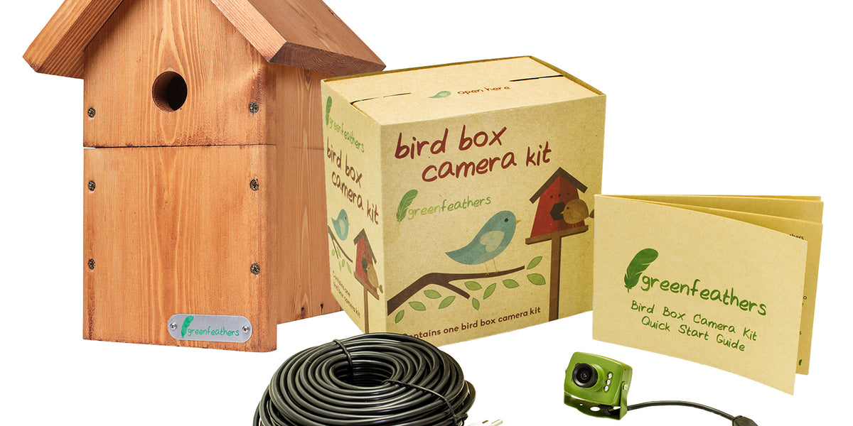 Green Feathers Bird Box Camera Deluxe Bundle TV Cable Connection ...