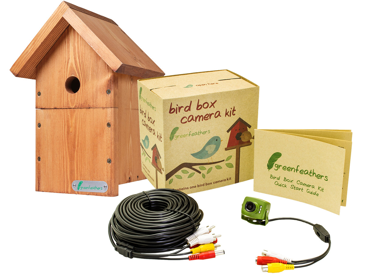 Green Feathers Bird Box Camera Deluxe Bundle TV Cable Connection ...