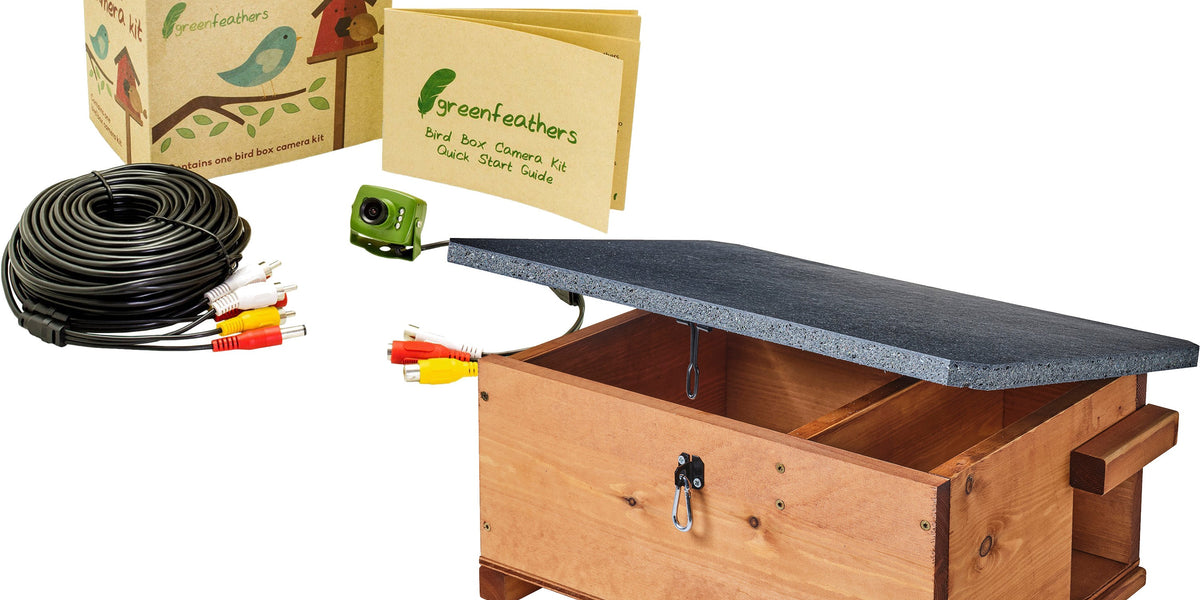 Green Feathers Hedgehog Box Camera Deluxe Bundle TV Cable Connection ...