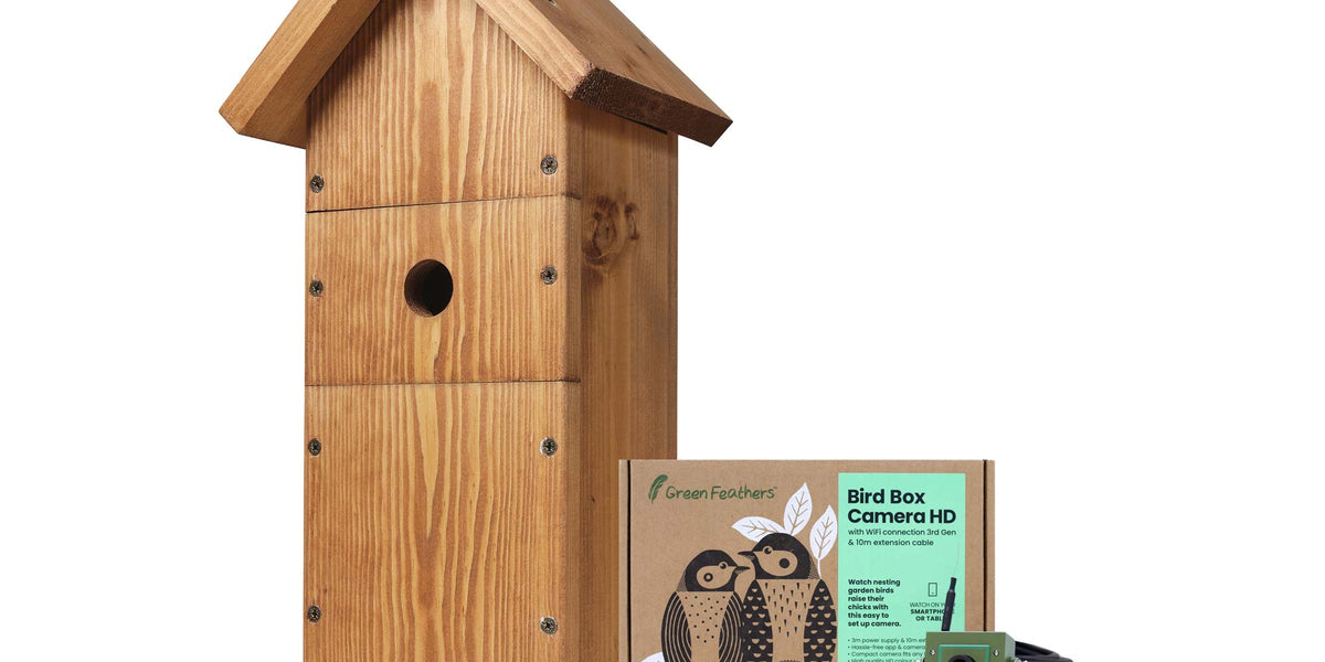 HD Bird Box Camera Kit 1080p WiFi - Complete Set | Green Feathers ...