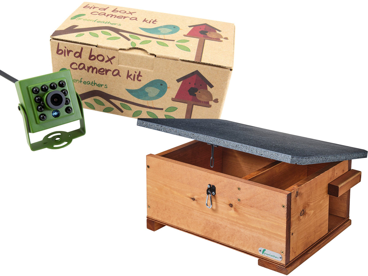 Hedgehog Box Camera | HD Wired Camera Kit | Green Feathers — SpyCameraCCTV
