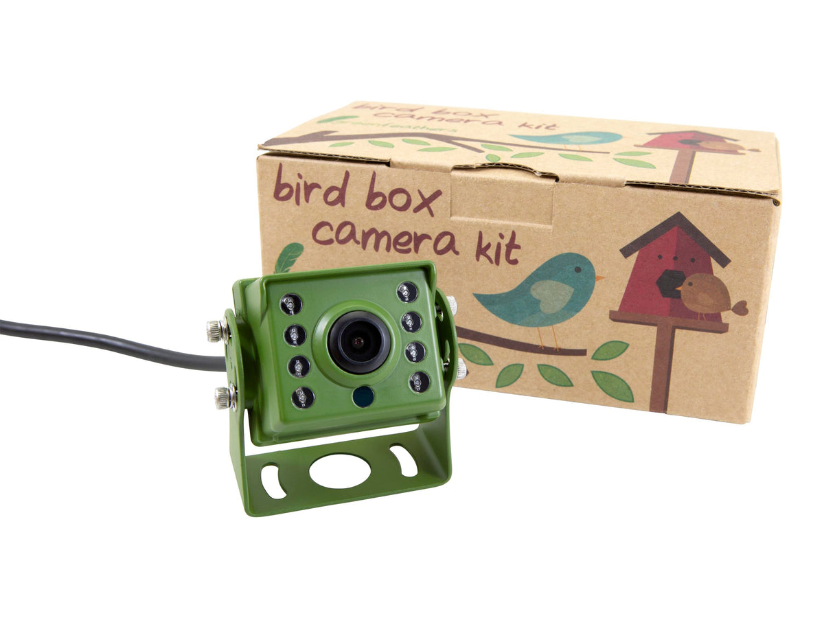 Green Feathers Bird Feeder Camera HD TV Cable Connection (Camera only ...
