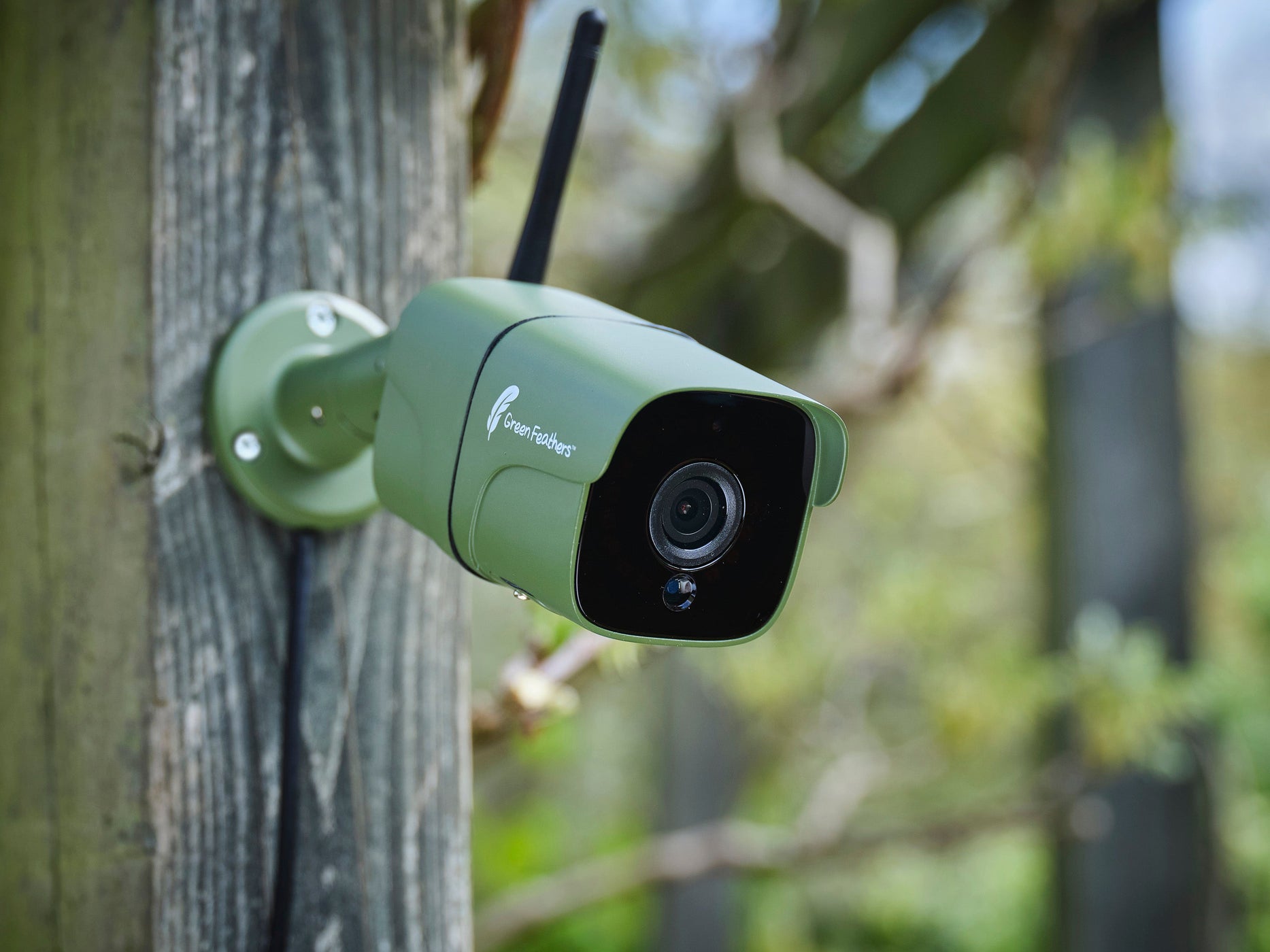 WiFi Wildlife Camera & Garden Night Vision | Green Feathers — SpyCameraCCTV